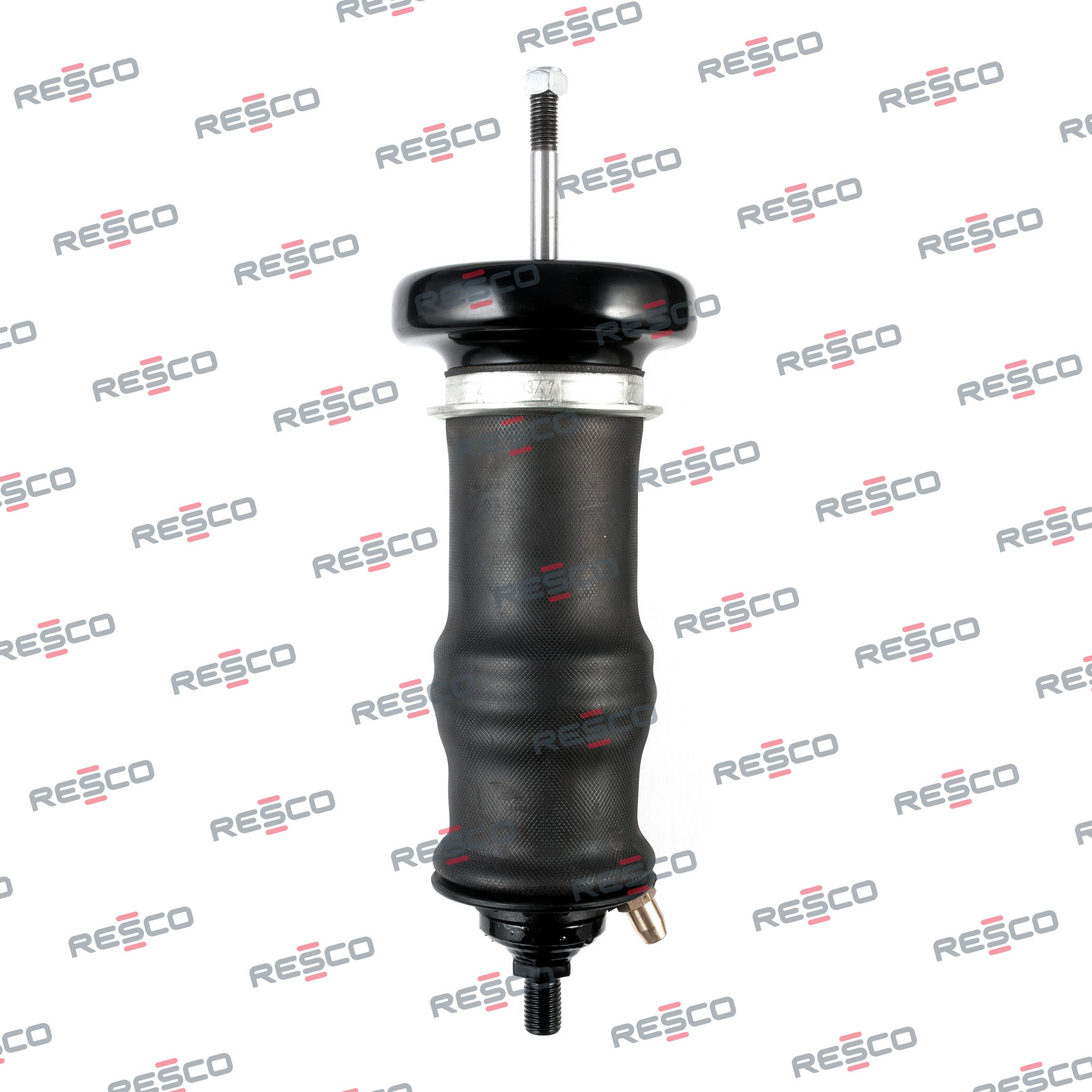 310002 - Resco Shocks & Struts